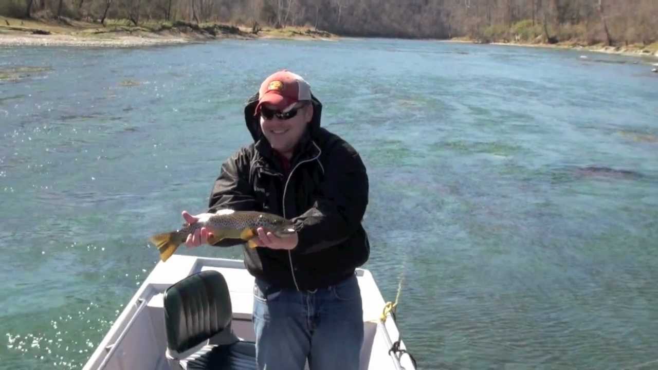 White River Trout fishing with Shiner Minnows March 4th 2012 - YouTube