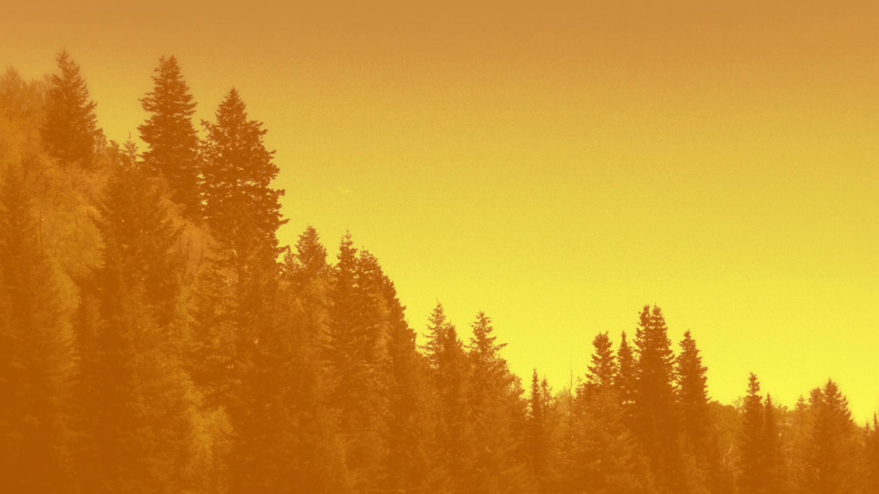 SHHHH | clarinet wizard - YouTube