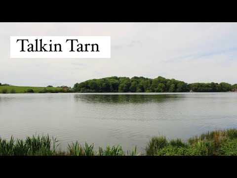 Relaxing circular walk around Talkin Tarn in Cumbria - YouTube