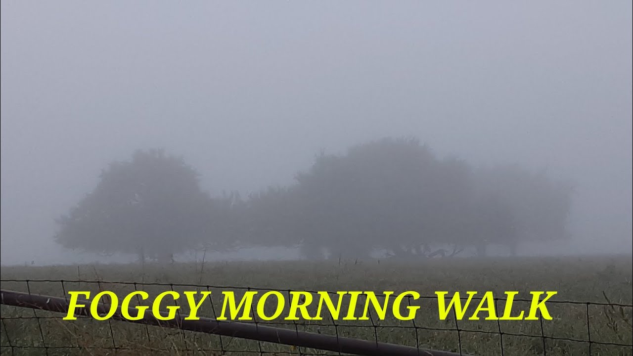 Foggy Morning Nature Walk.... - YouTube