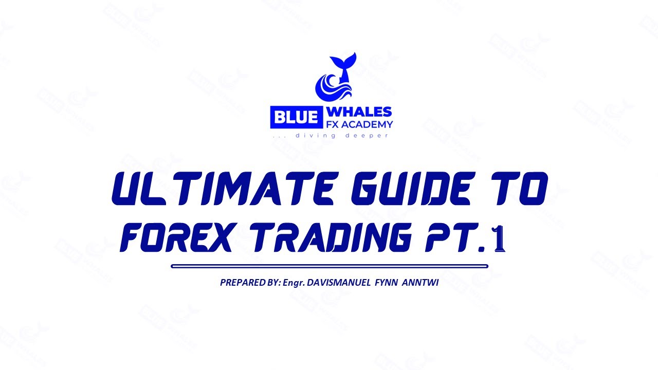 Ultimate Guide To Forex Trading Beginners Edition Pt 1 Youtube