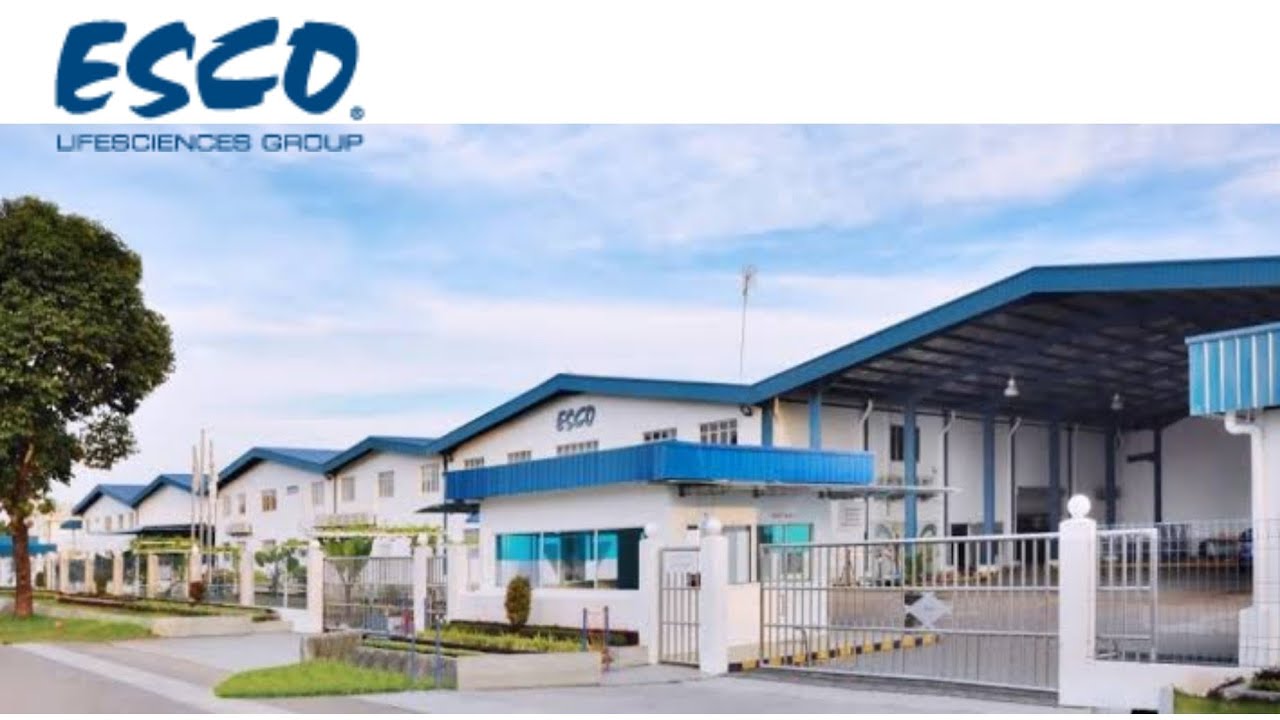 PT. Esco Bintan Indonesia - Bintan Industrial Estate - YouTube