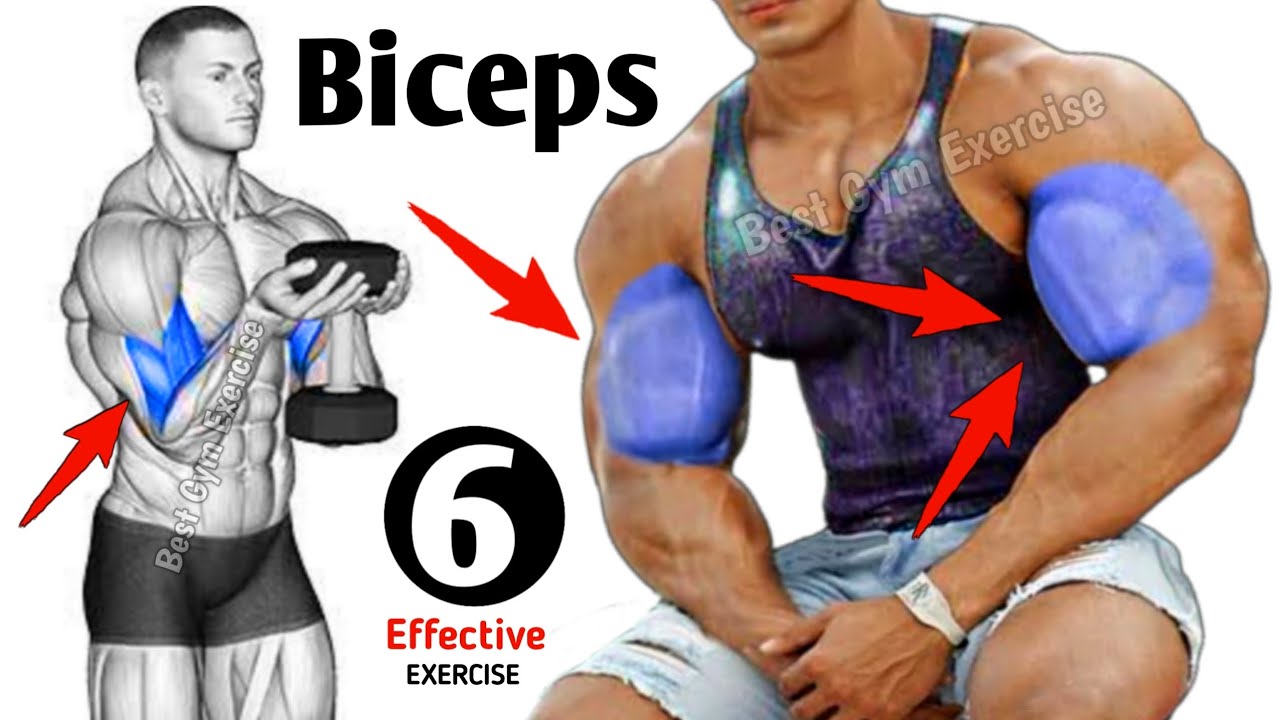 6 Quick Effective Biceps Exercises For Growth - Best Gym Exercise - YouTube