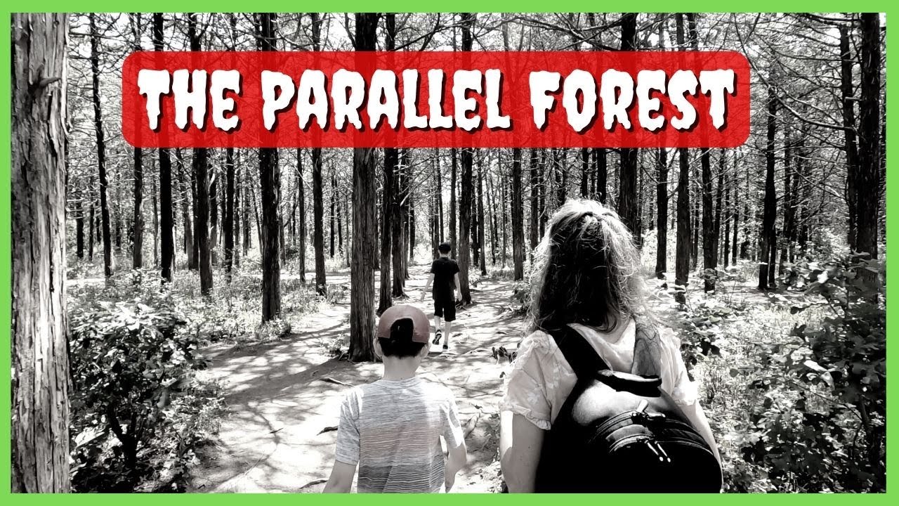 Is the Parallel Forest Haunted? 👻 | Things to do in the Wichita ...