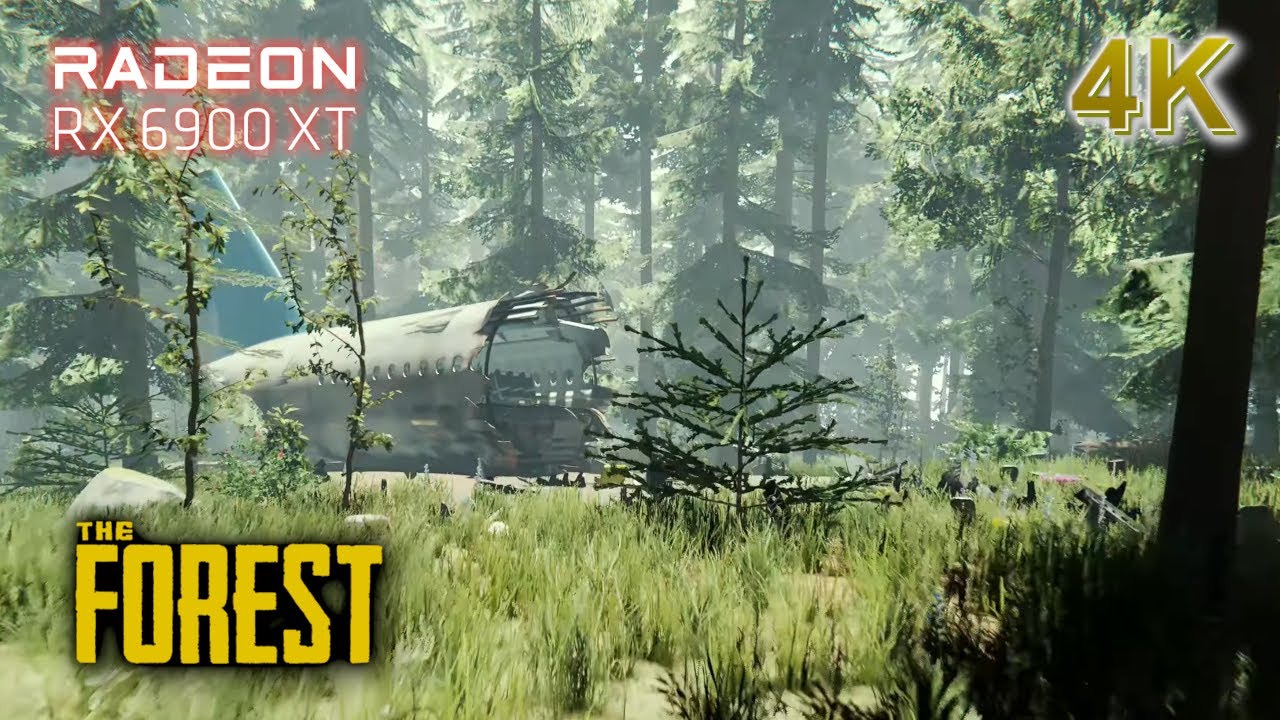 The Forest | 4k | Ultra Settings | 6900 XT - YouTube
