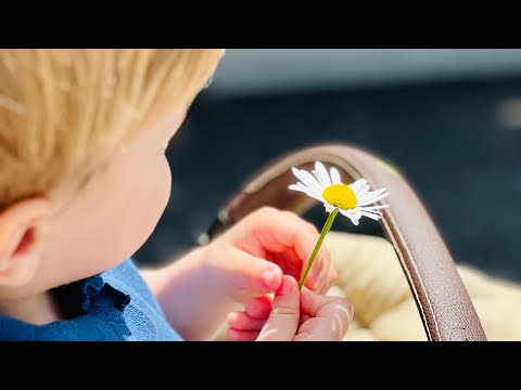 Gurten’e yolculuk aile ile hafta sonu model tren keyfi