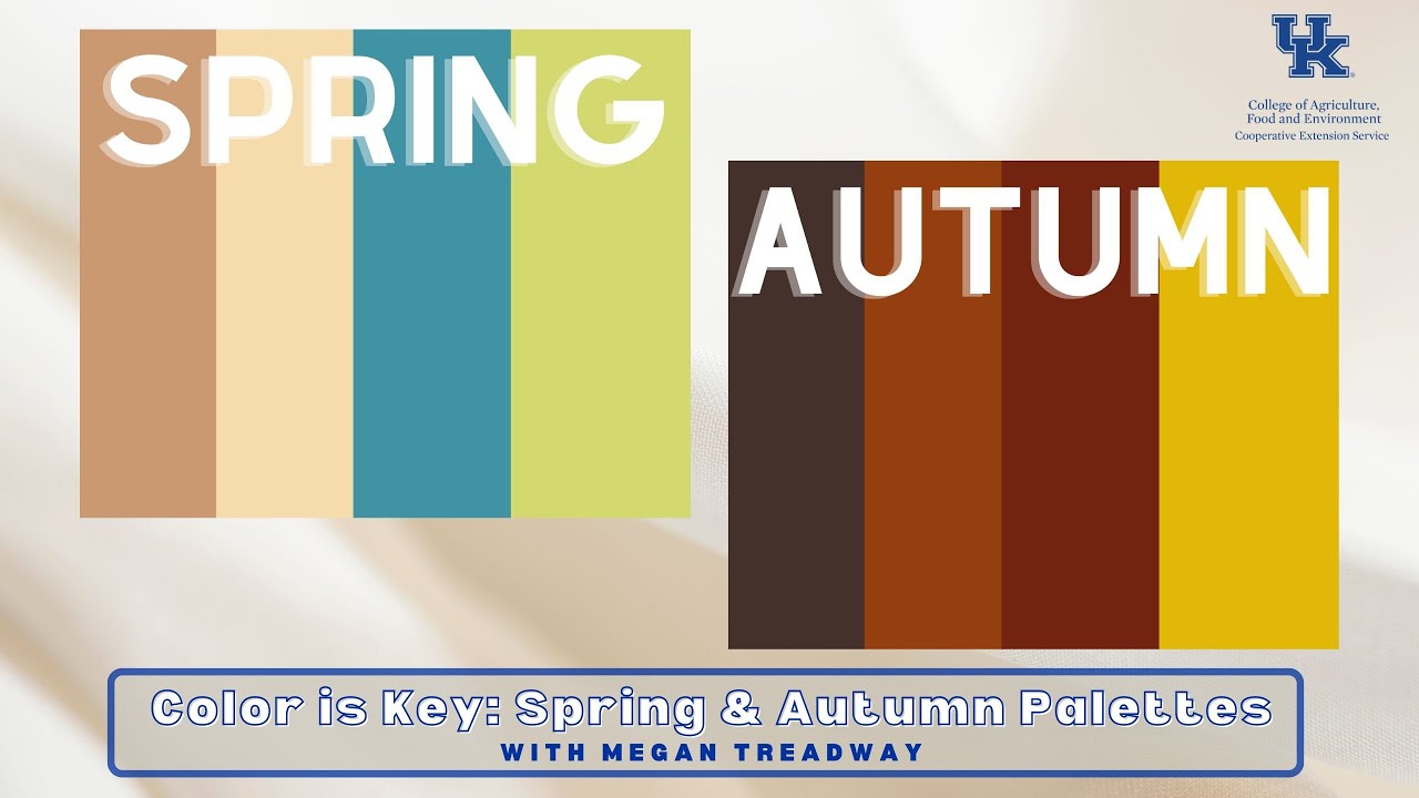 Color is Key: Spring & Autumn Palettes - YouTube