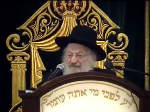 Rav Matisyahu Salomon - YouTube