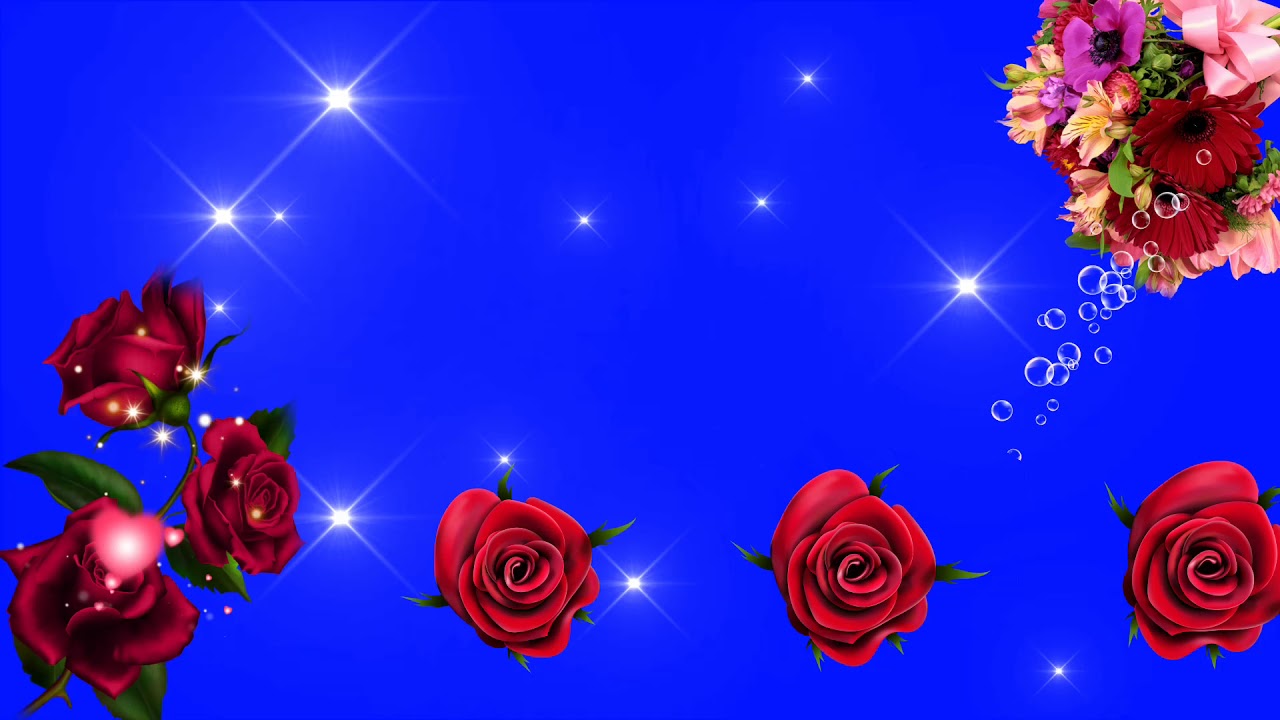 Rose Blue screen Effect video background frame (1) - YouTube