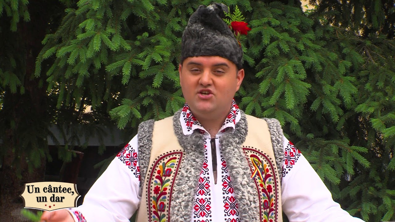 Cosmin Timofte - Jaca sarba domn primar - YouTube