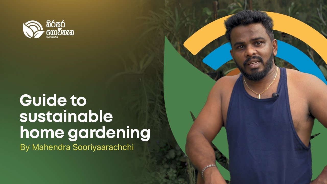Guide To Sustainable Home Gardening | Thirasara Govithena - තිරසර ...
