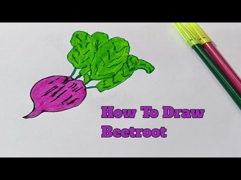 Beetroot Drawing || How To draw Beetroot Step By step || Beetroot ...