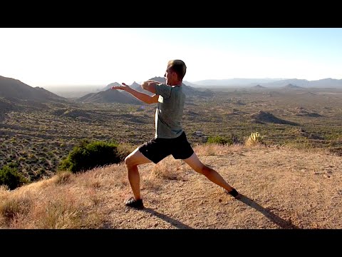 Bird Kung Fu - Amazing Form - YouTube