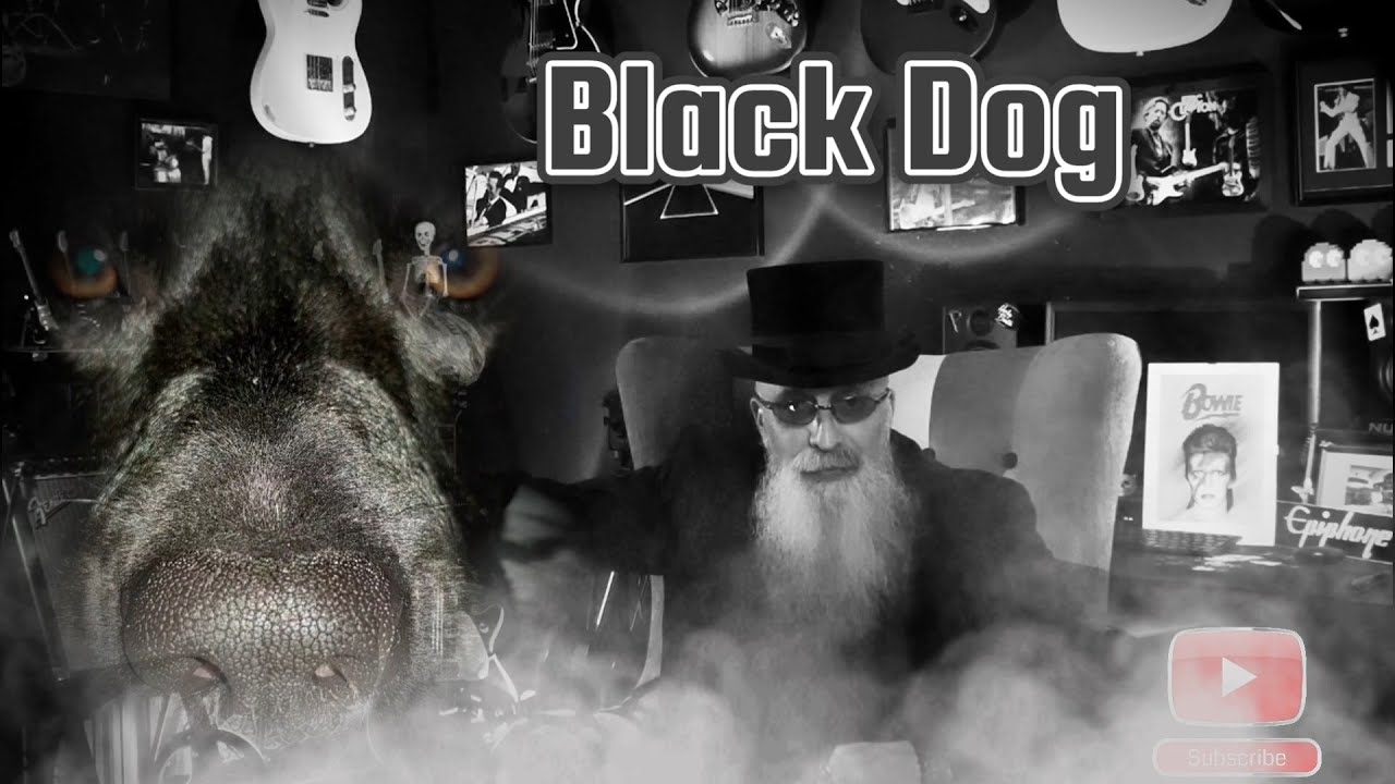 BLACK DOG - YouTube