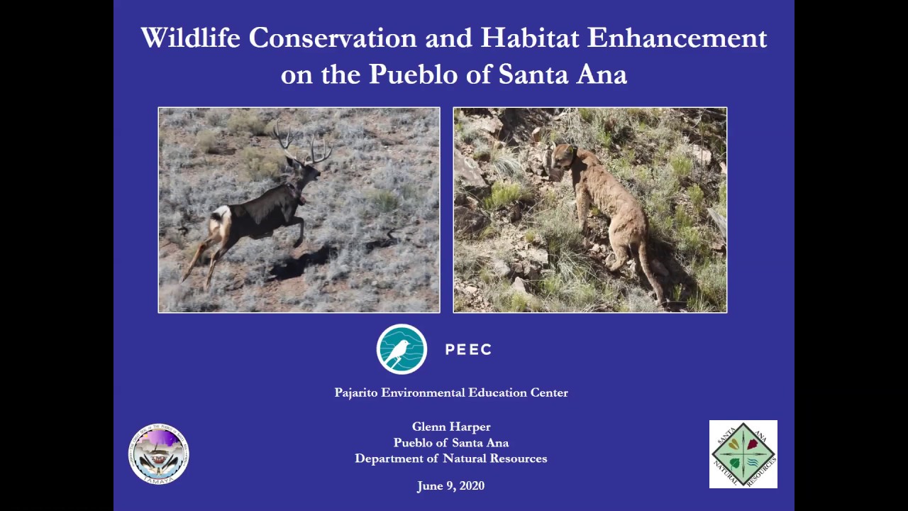 Wildlife Conservation and Habitat Enhancement on the Pueblo of Santa ...