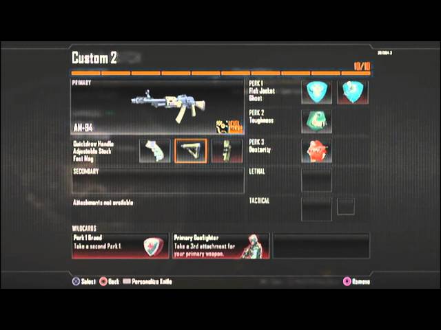 An 94 Black Ops 2 Class Setup