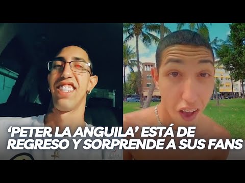 "Peter la Anguila" sorprende con épico regreso a la música - YouTube