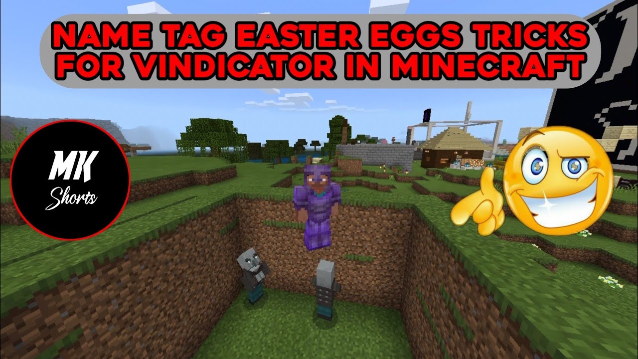 Name Tag Easter Eggs Tricks for Vindicator in Minecraft 🔥🔥 🤘🤘#shorts # ...