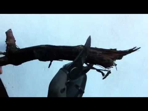 Pellenc P2000 - YouTube