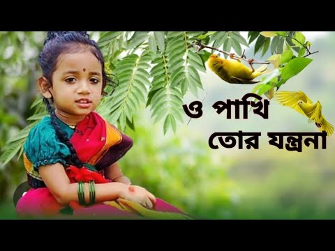 ও পাখি তোর যন্ত্রনা। O Pakhi। Shabana & Alamgir। Sabina Yasmin। Atithi ...