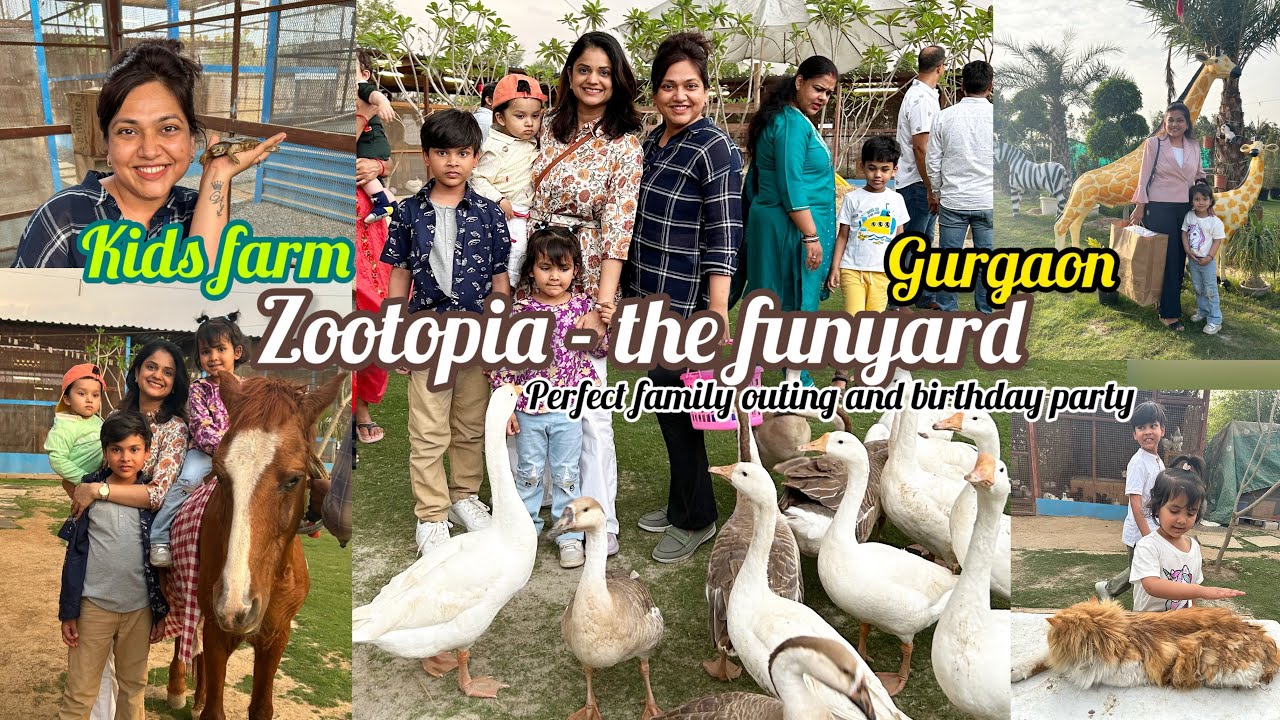 New fun place for kids in Gurgaon | zootopia - the funyard farm animals ...