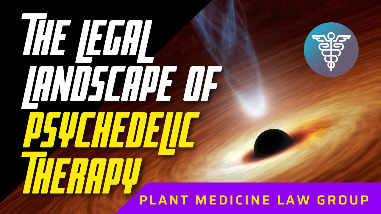 The Legal Landscape of Psychedelic Therapy - YouTube