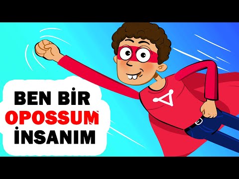 Bir Şey Tarafından Isırıldım ve  İnsanüstü Güçlerim Oldu / Hikayem Bitmedi