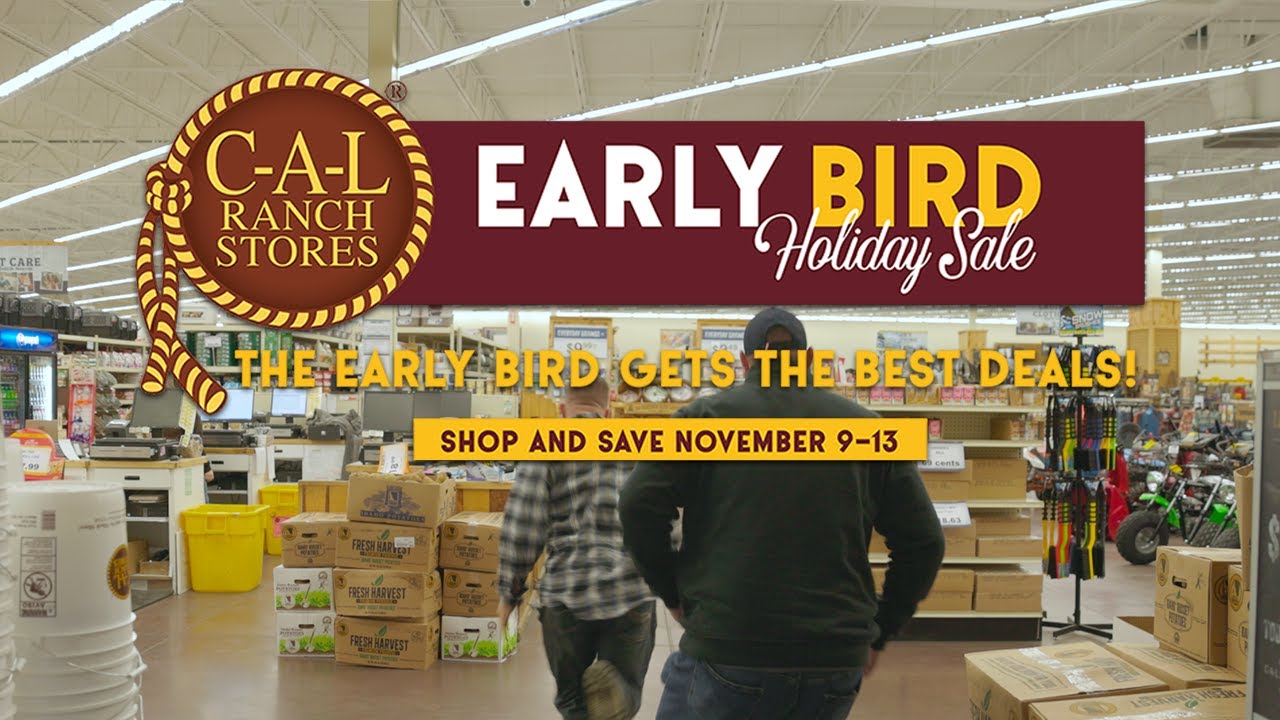 Early Bird Holiday Sale - YouTube