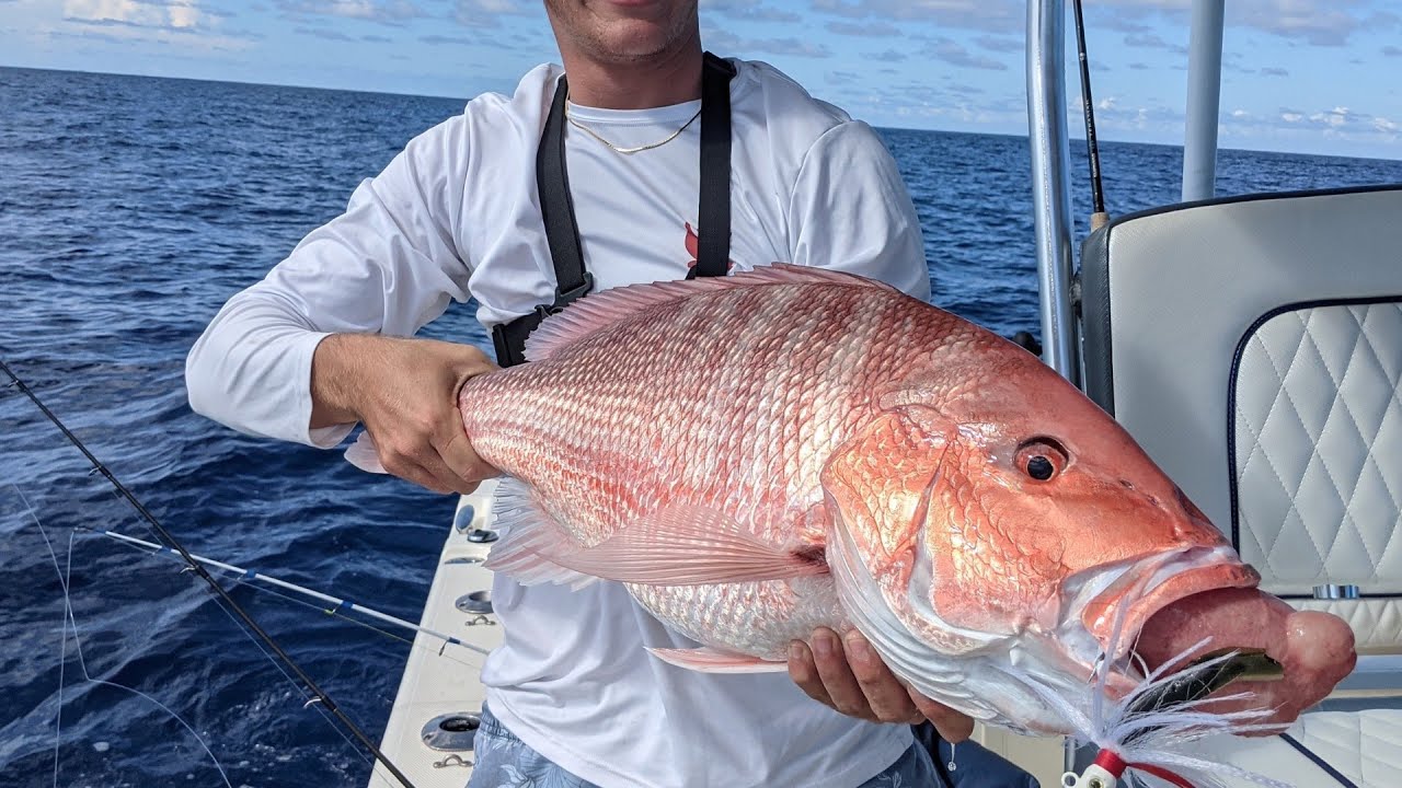 BIG Red Snapper Love SNOOK Jigs? - YouTube
