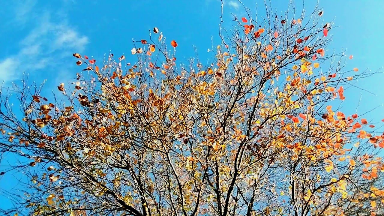 infinity plus one (Short Film) - YouTube