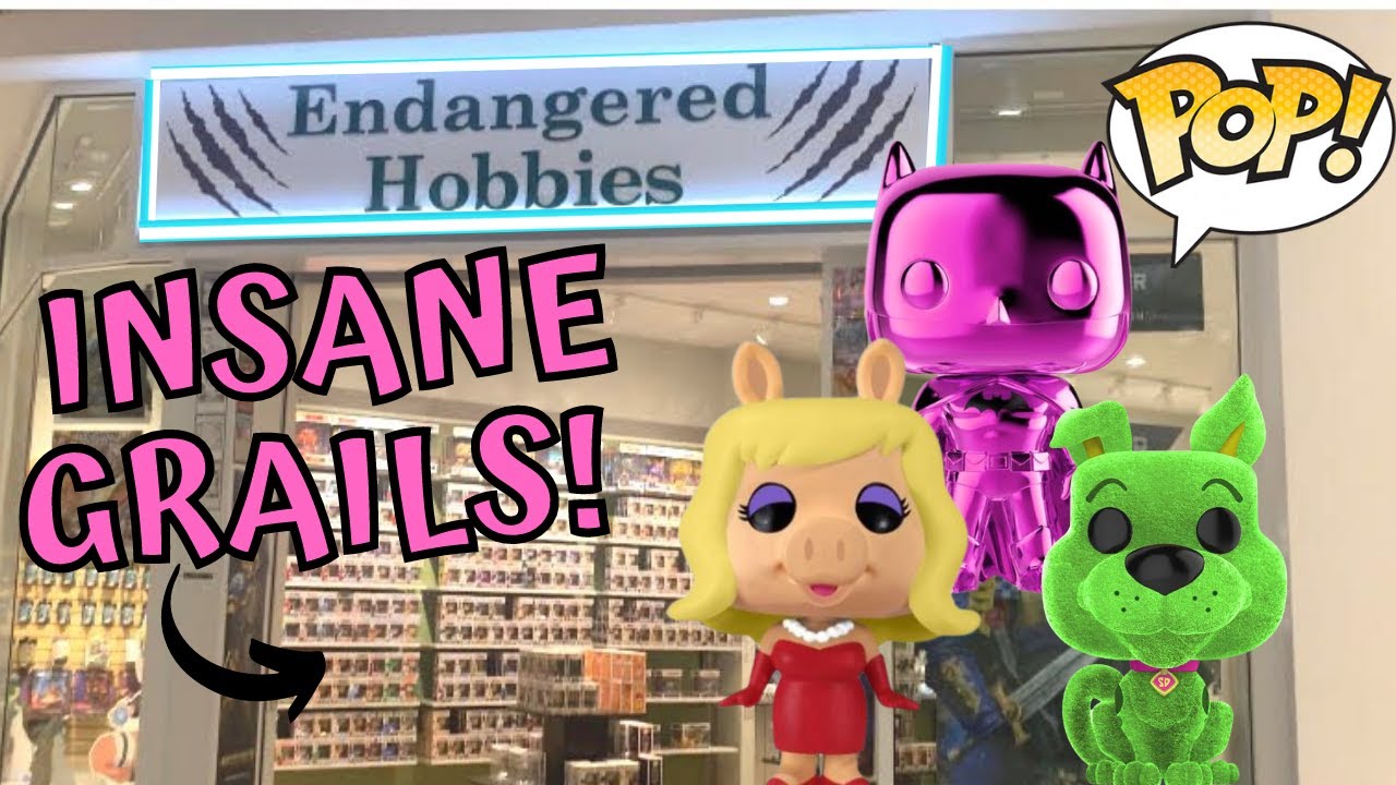 Funko Pop Hunting at Endangered Hobbies I INSANE GRAILS FOUND! - YouTube