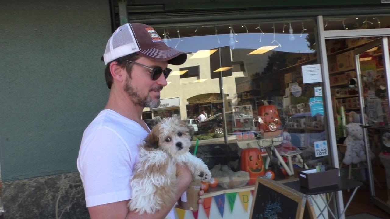 Magic Magic star, Matt Bomer with his new PUPPY!!! - Cuteness Overload ...