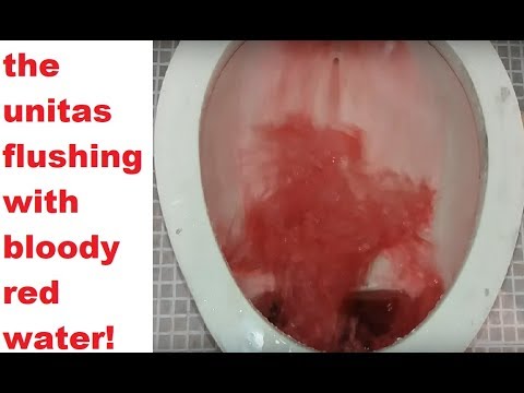 toilet flushing with blood red water! - YouTube