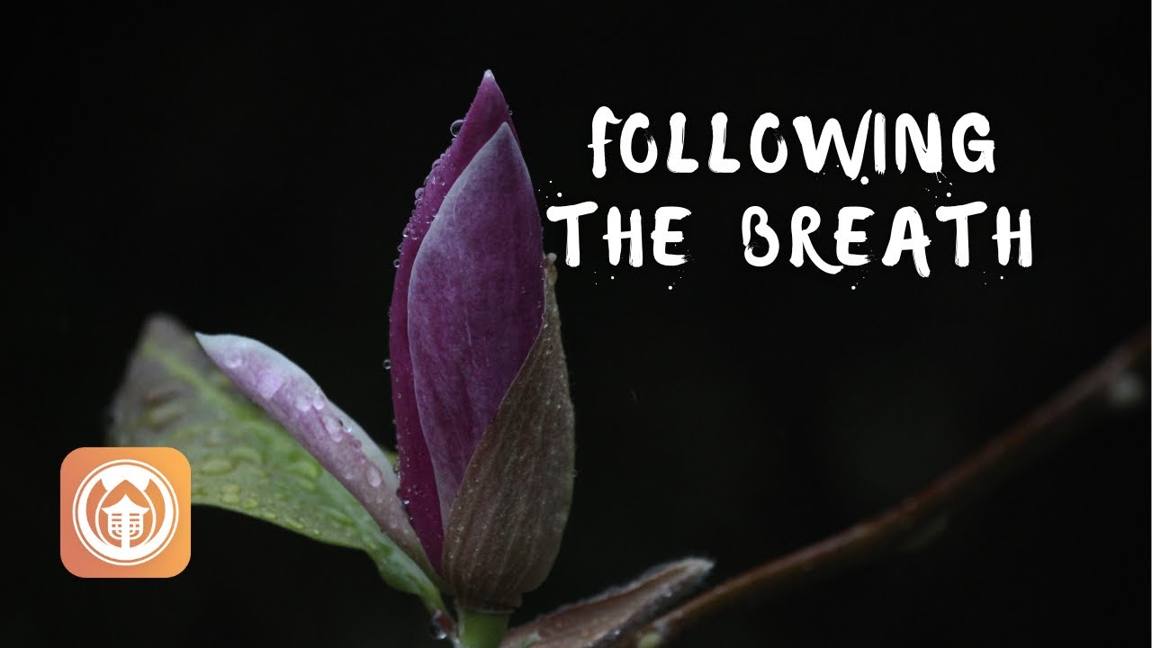 Following the Breath | Sister Dang Nghiem - YouTube