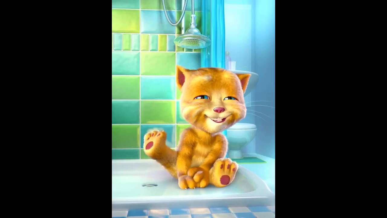 Chat qui parle - YouTube