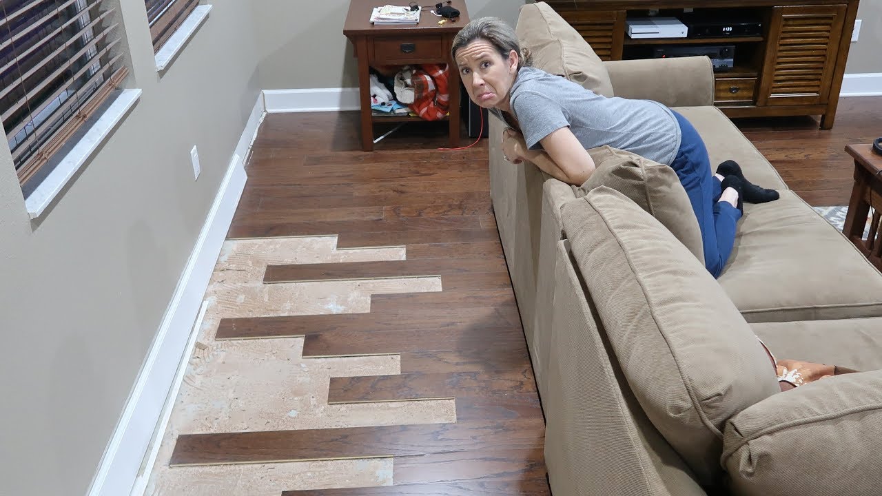 House Disaster! - YouTube