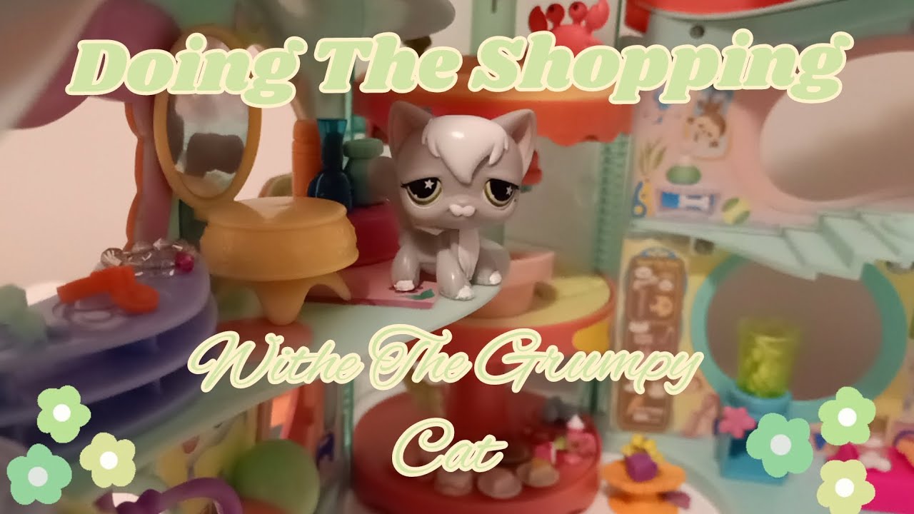 Doing The Shopping (With The Grumpy Cat) An LPS Stop Motion! - YouTube