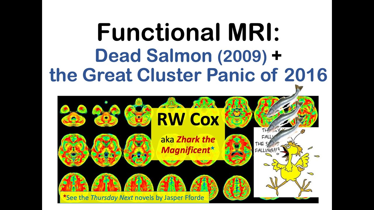 Summer Course 2019: 08 Functional MRI - Dead Salmon (2009) + the Great ...