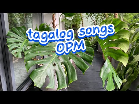 Mga Tagalog na Musika #lovesong #viral #music - YouTube