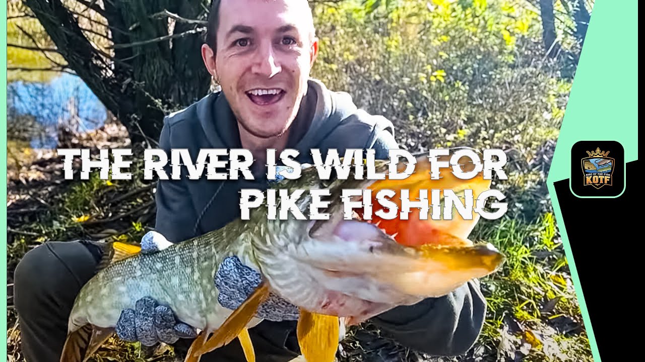 THE RIVER IS WILD FOR PIKE FISHING || MONK LAKES, KENT - YouTube
