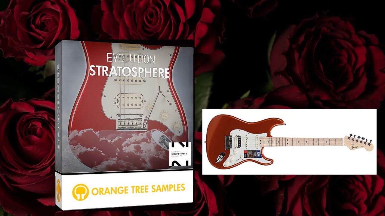 Orange Tree Samples Evolution Stratosphere - YouTube