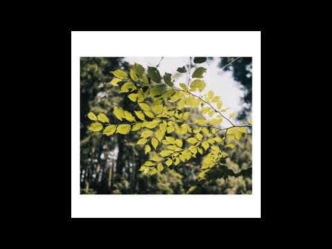 Paul Grant - Moments (Full Album)