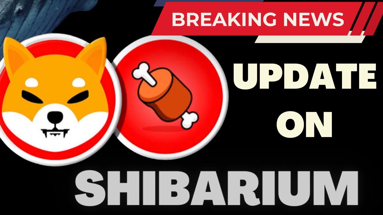 BONE TOKEN UTILITY RISES ONCE AGAIN ! BUY BONE SHIBASWAP BEFORE IT'S TO ...