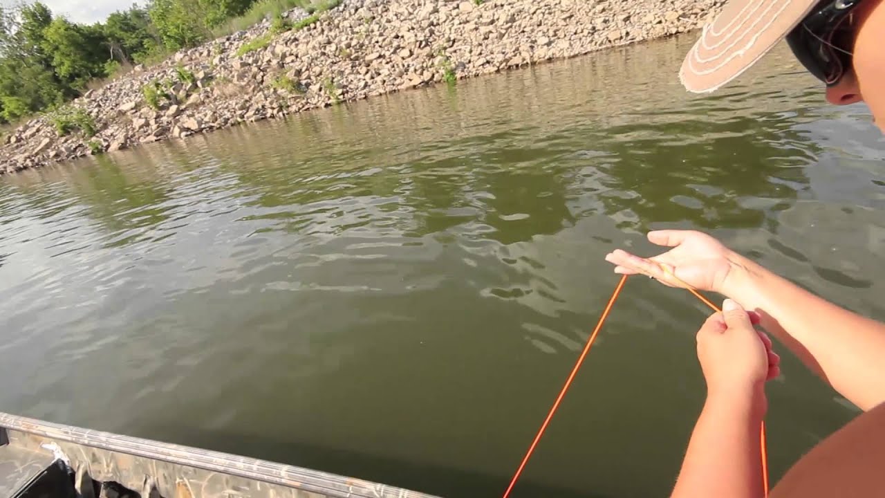 Bowfishing Show: Bighead carp. - YouTube