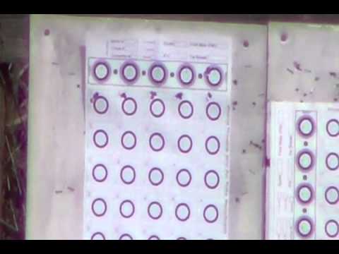 6ppc 8208 powder test - YouTube