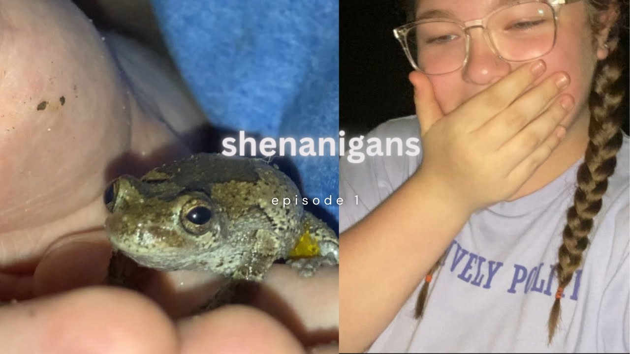 Random shenanigans | episode 1 | - YouTube