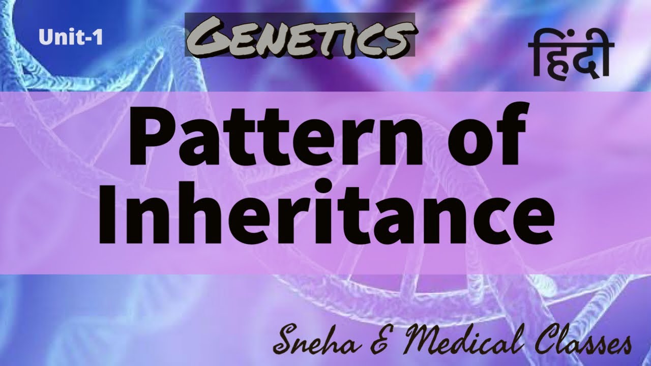 Pattern Of Inheritance Hindi Genetics Youtube