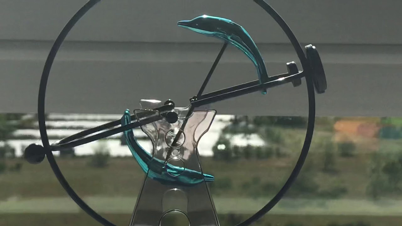 Dolphin Kinetic by Carlisle - YouTube