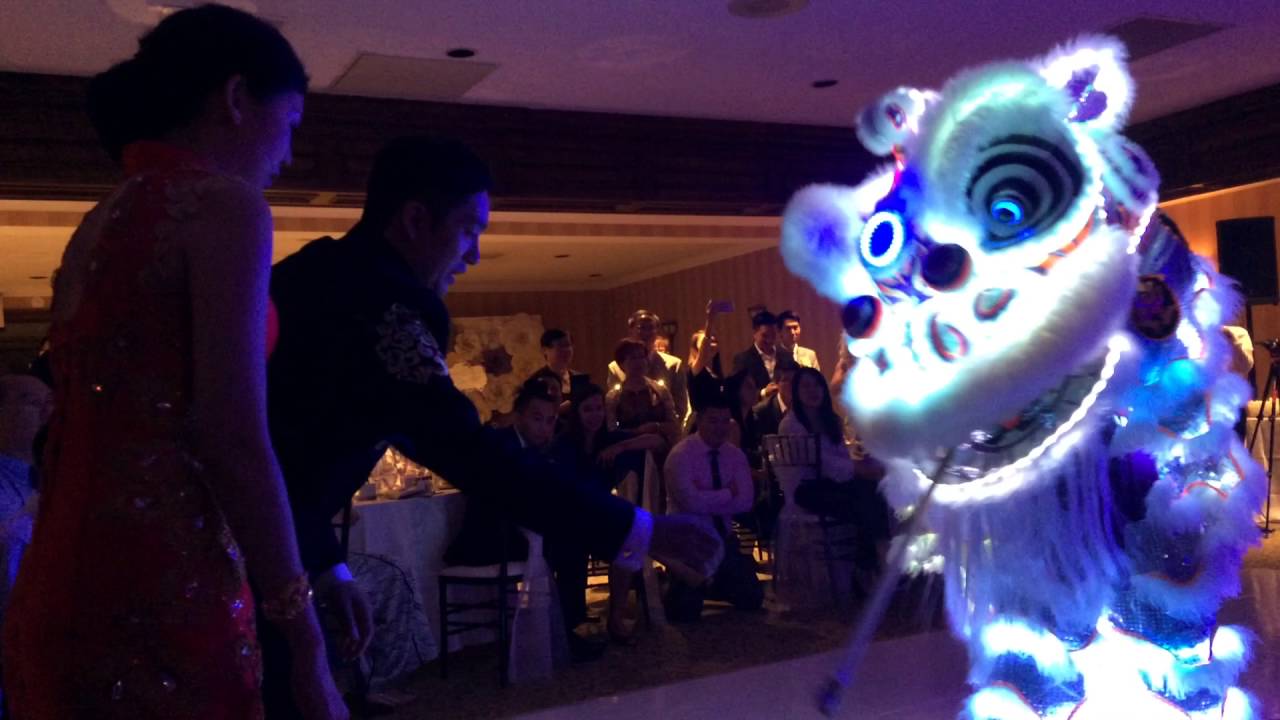 Sifu's Wedding LED Lion Dance - YouTube