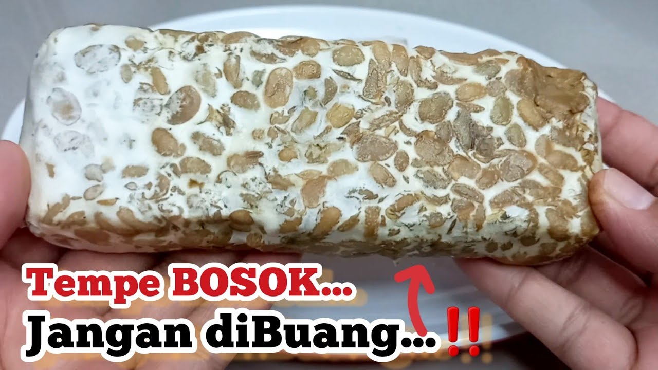 JANGAN DIBUANG ‼️TEMPE BUSUK DIBIKIN GORENGAN MENDOL TEMPE KHAS MALANG ...